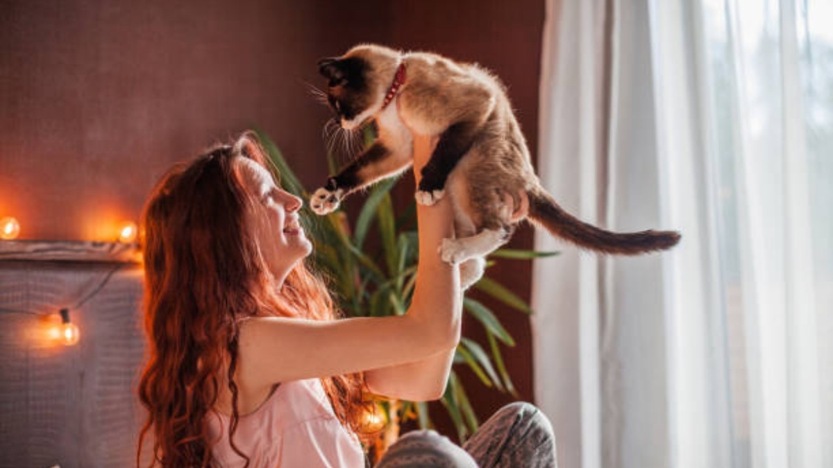 Cats recognize their favorite person in a peculiar way, and science has ...