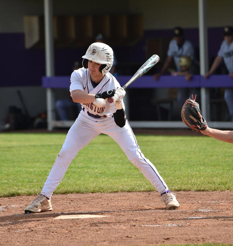 Lexington's Davis, Galion's Fagan highlight all-district 9 baseball honors