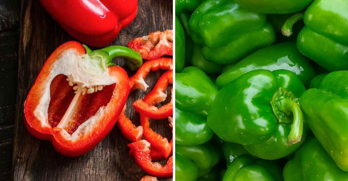 Things to know about red, yellow, and green bell peppers