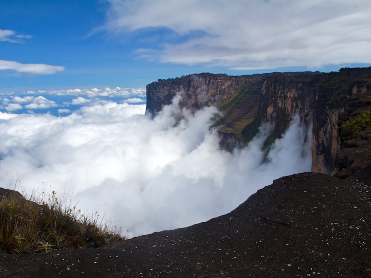 Meet the 2-billion-year-old giant that stretches 14km long, towers ...