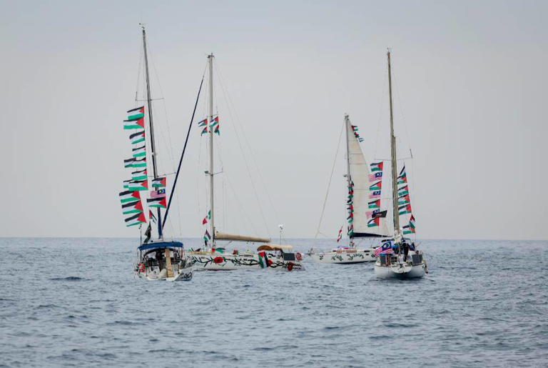 87 Gaza-bound aid flotilla activists launch hunger strike over Israeli ...
