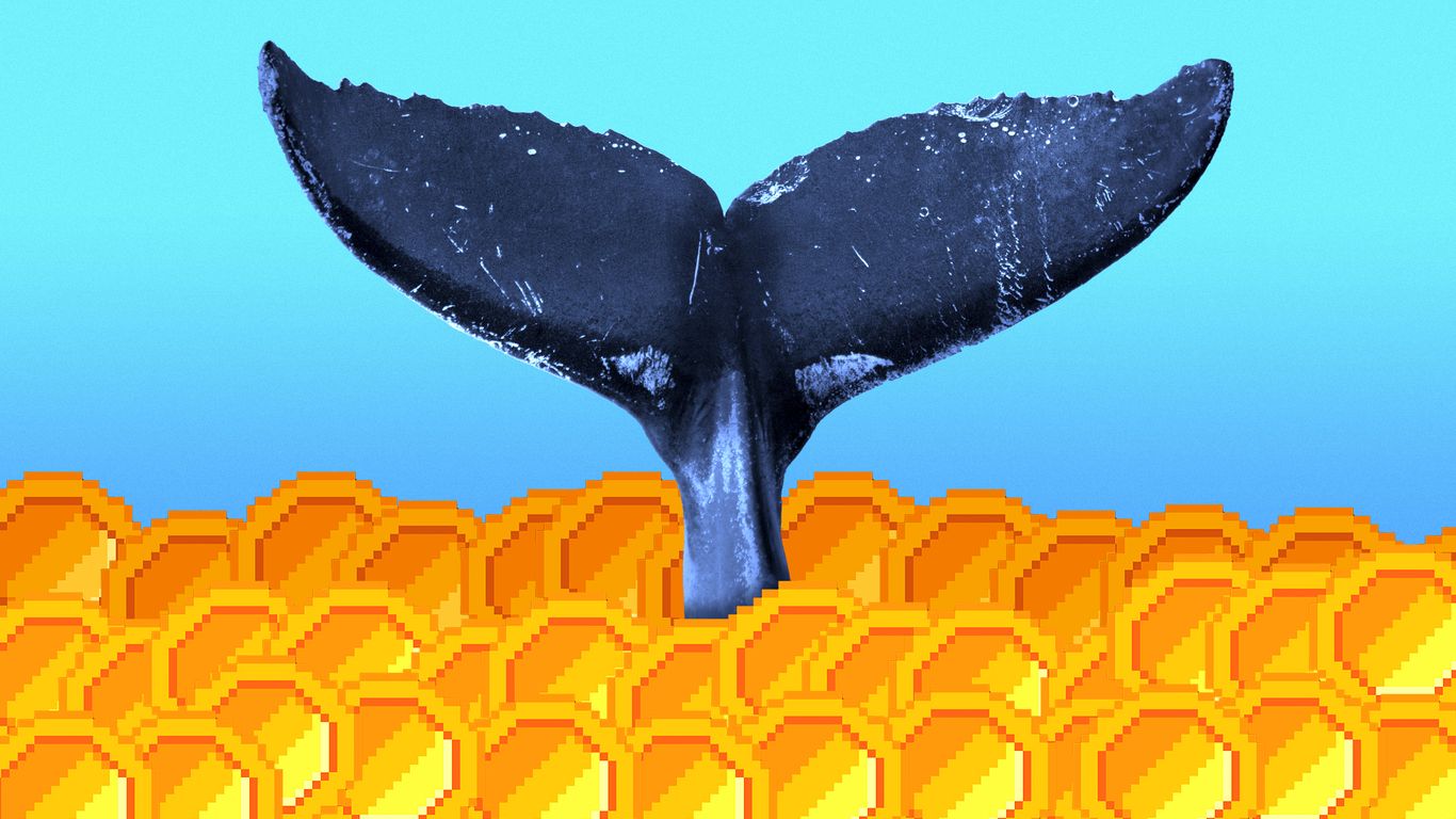 Polk County pays $6.5K for using an unauthorized whale photo