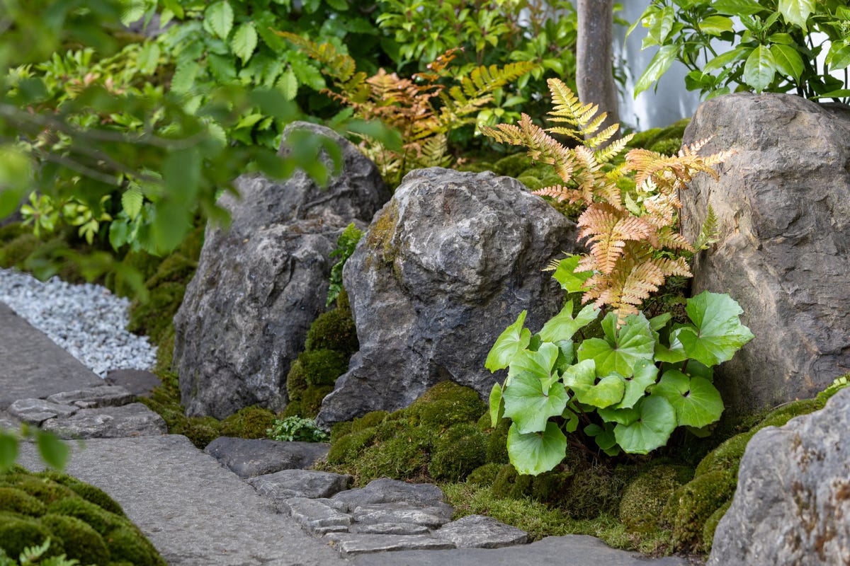 5 practical small garden ideas to take home from Chelsea Flower Show ...