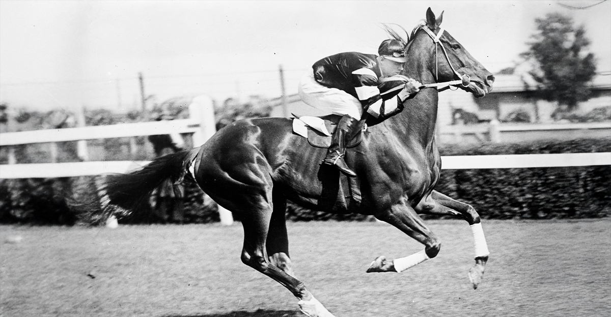 Phar Lap carried Triple Crown dreams to American shores but the cause ...