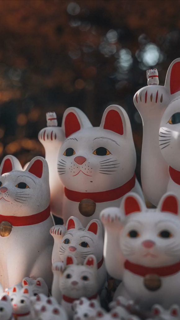 Exploring the cat-filled charm of Tokyo’s temple