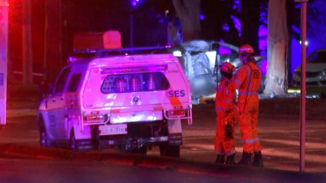 Two men die after car crashes into tree