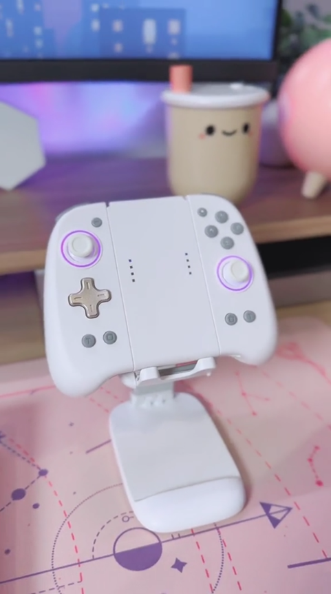 Binbok simple and clean Joycon controller