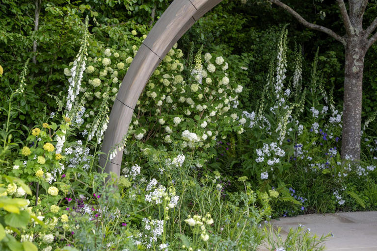 The 3 plants designers couldn’t stop using at this year’s Chelsea ...
