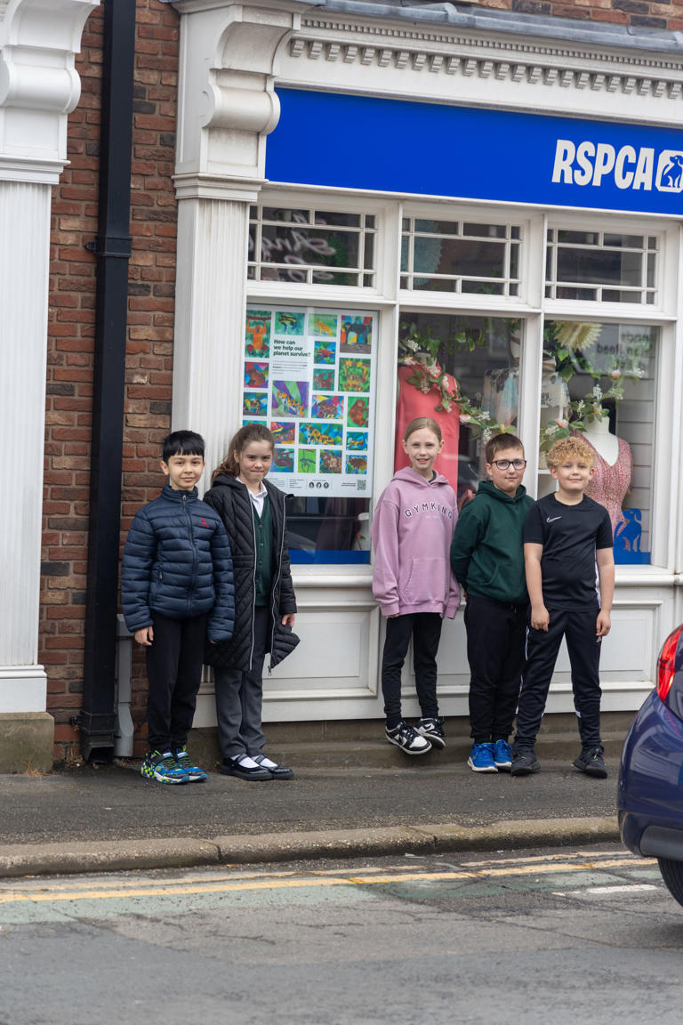 Primary school pupils create artwork for RSPCA shop in Thorne, raising ...