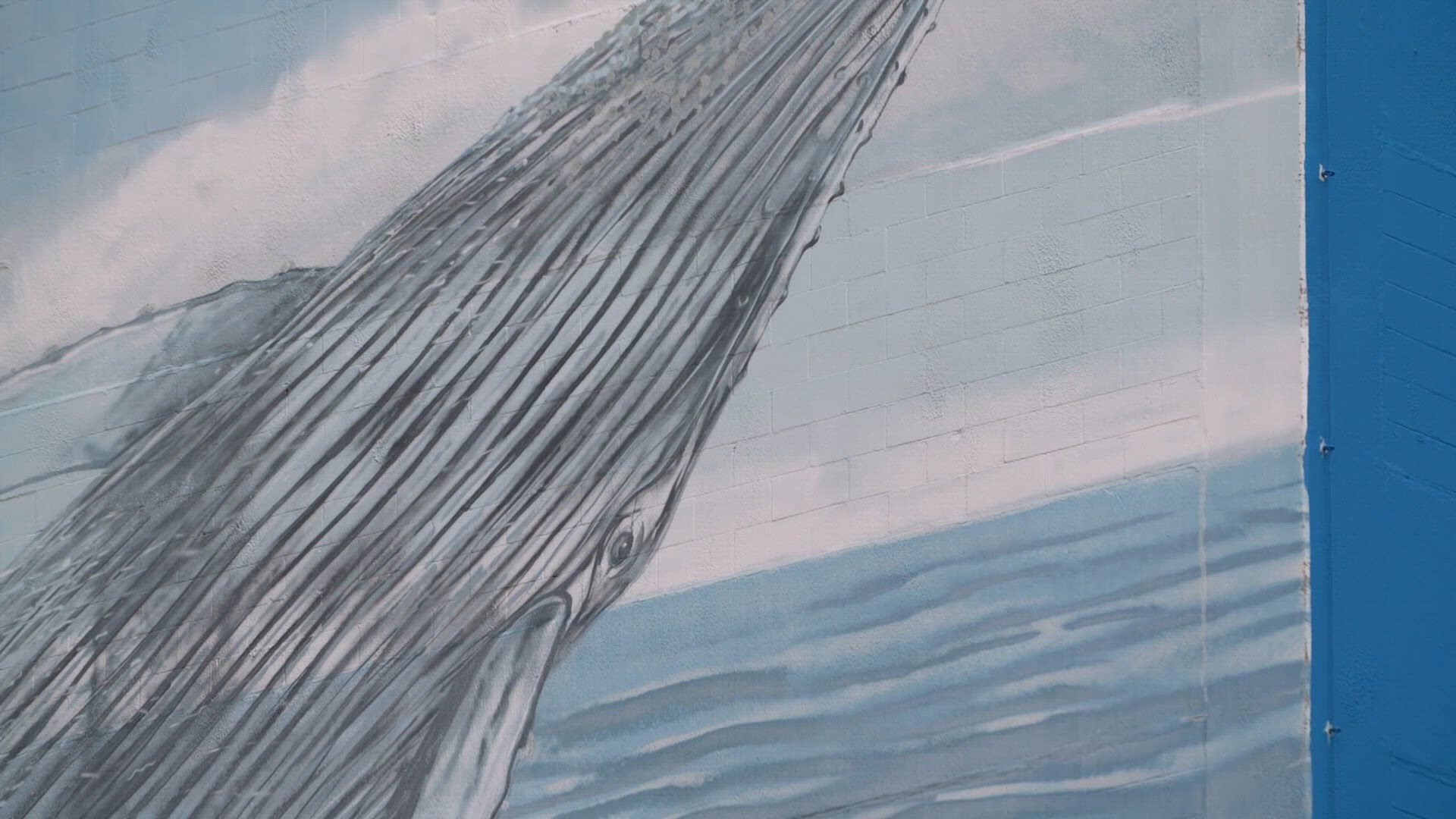 Dallas ISD students mount opposition to the destruction of whale mural ...