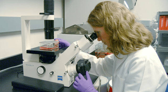 Belite Bio shares rise after first-quarter earnings outperform ...