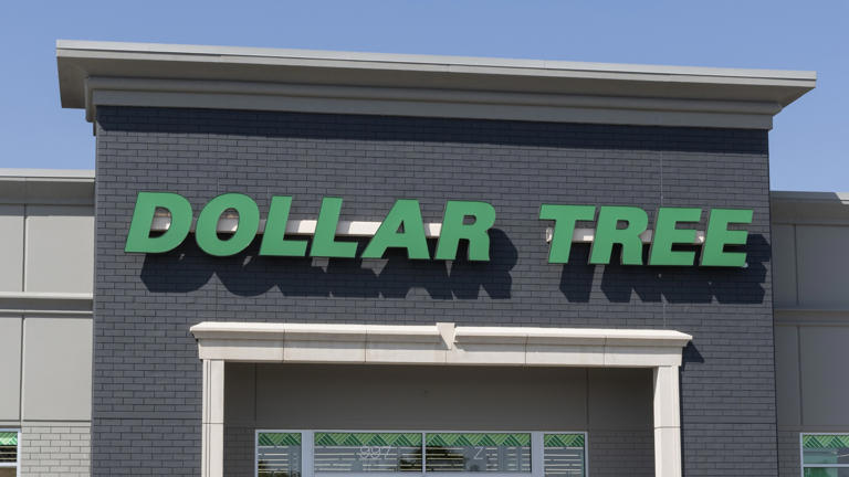 Dollar Tree's new summer collection has 7 items retirees should grab ...
