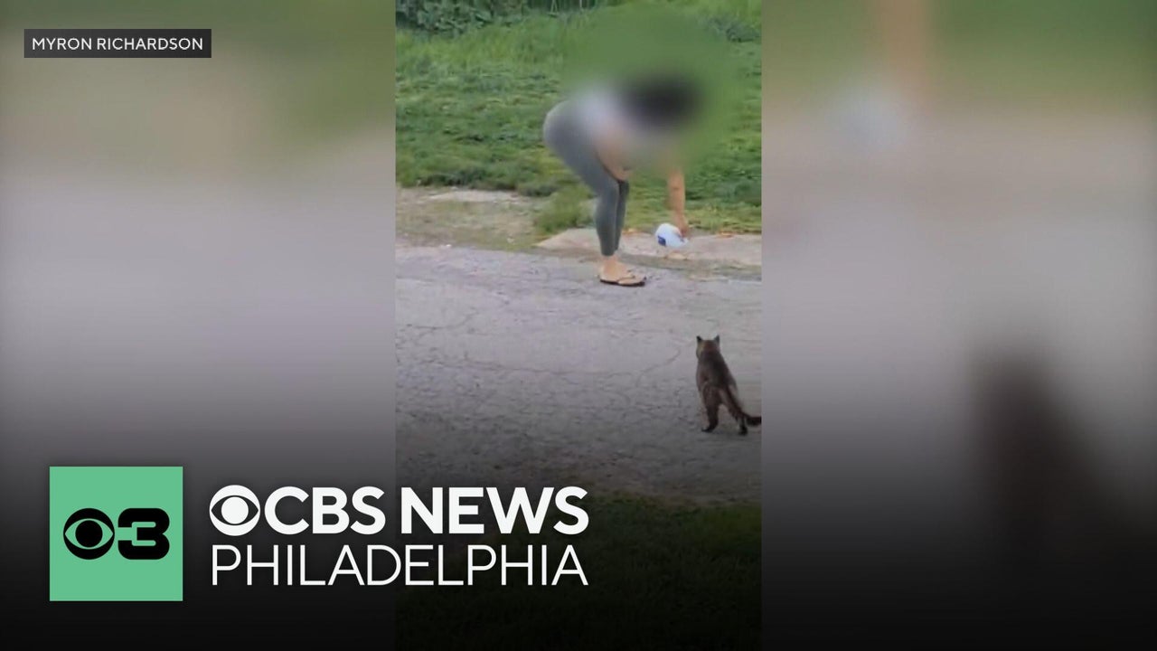 PSPCA investigating video showing woman pouring what appears to be ...