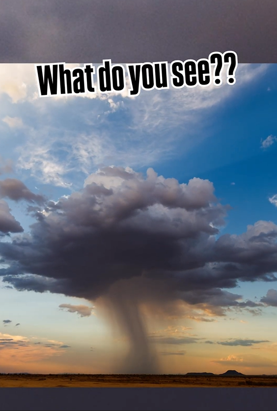 Do you see a jellyfish or something unexpected? Optical illusion explained