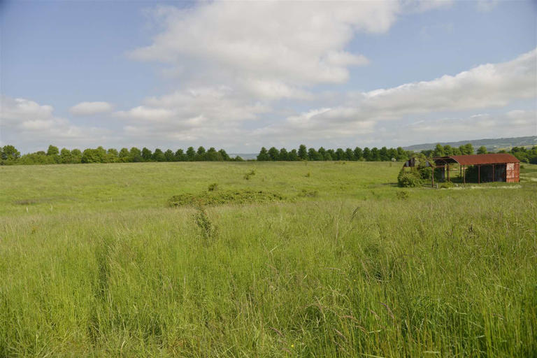Crunch time for Barratt David Wilson’s plans to build 435 homes at ...