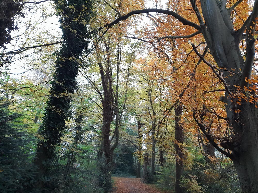 Friends of the Nickey Line launches 20th anniversary photographic ...
