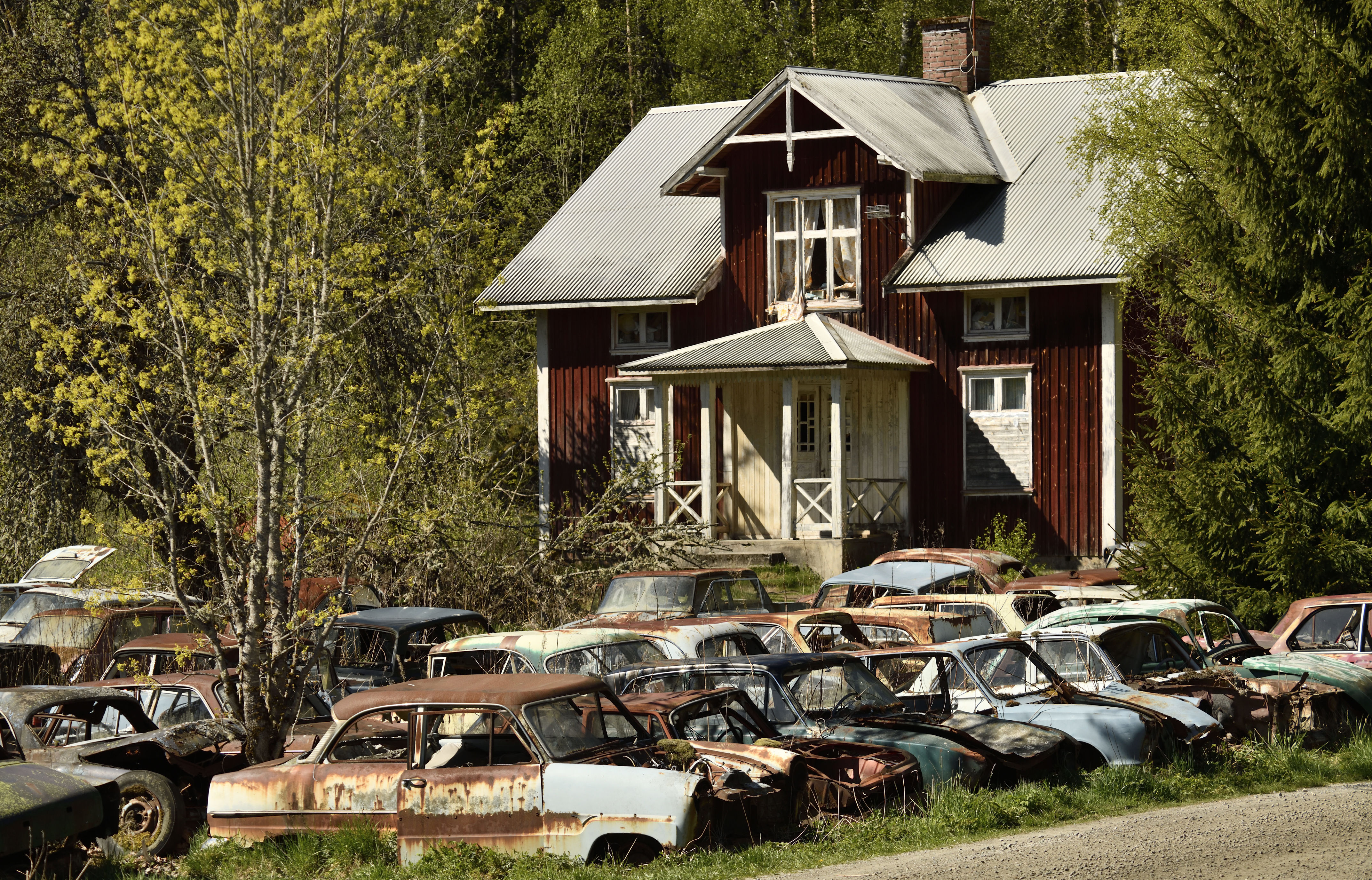 Inside the eerie Swedish forest where hundreds of classic cars were ...