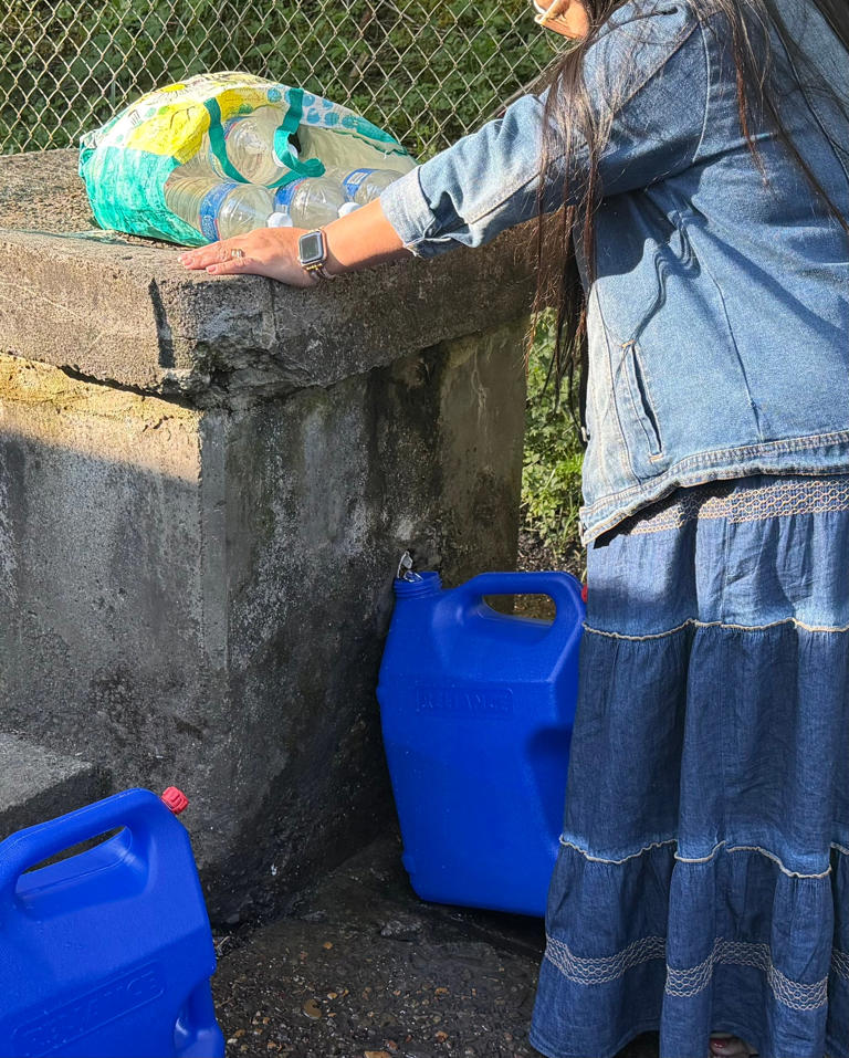 Secret mountain spring on the way to the coast has Oregon's cleanest water