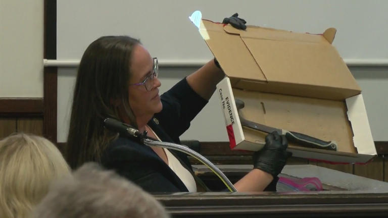 Greeneville trial for man accused of killing grandmother, brother continues