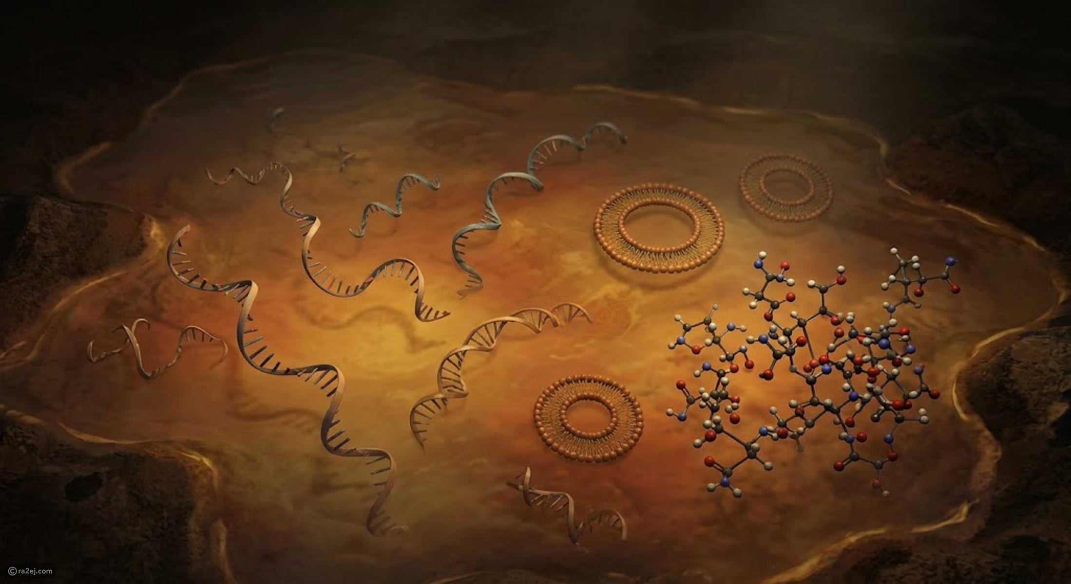 All life on Earth traces back to one ancestor — and it’s older than ...