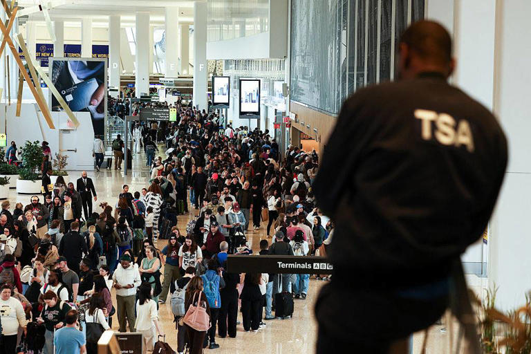 Flight passengers now allowed to bring weed on planes after Trump ...