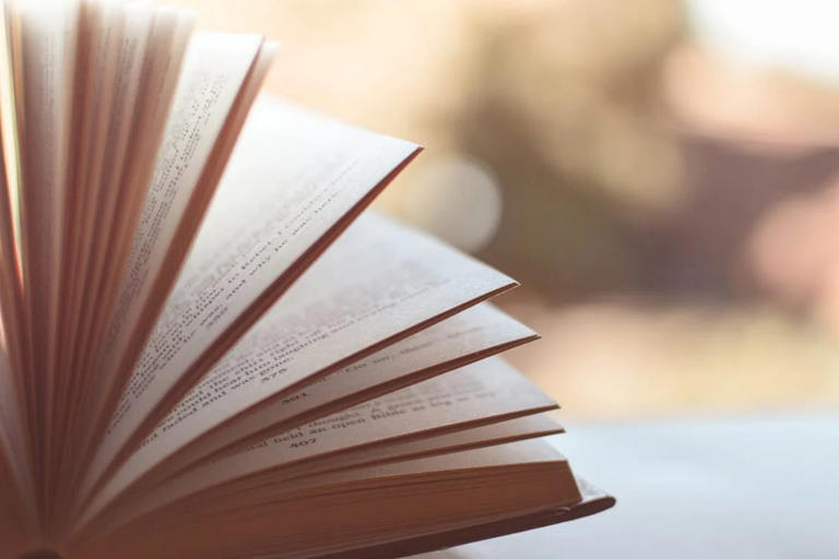 Did the Commonwealth Short Story Prize winner use AI to write?
