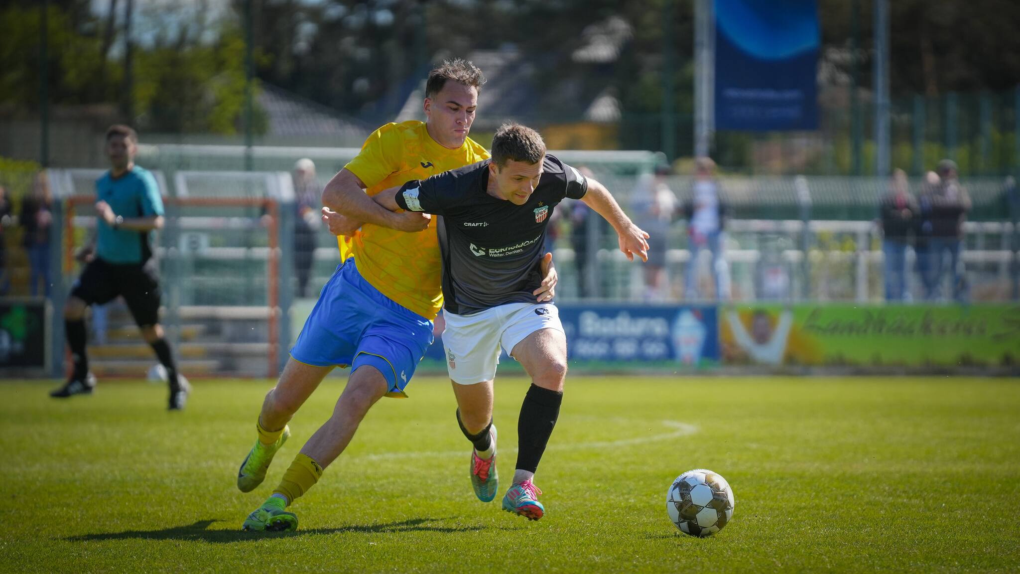 SV Babelsberg 03: Braune bringt Gollnack mit - Covic elfter Abgang