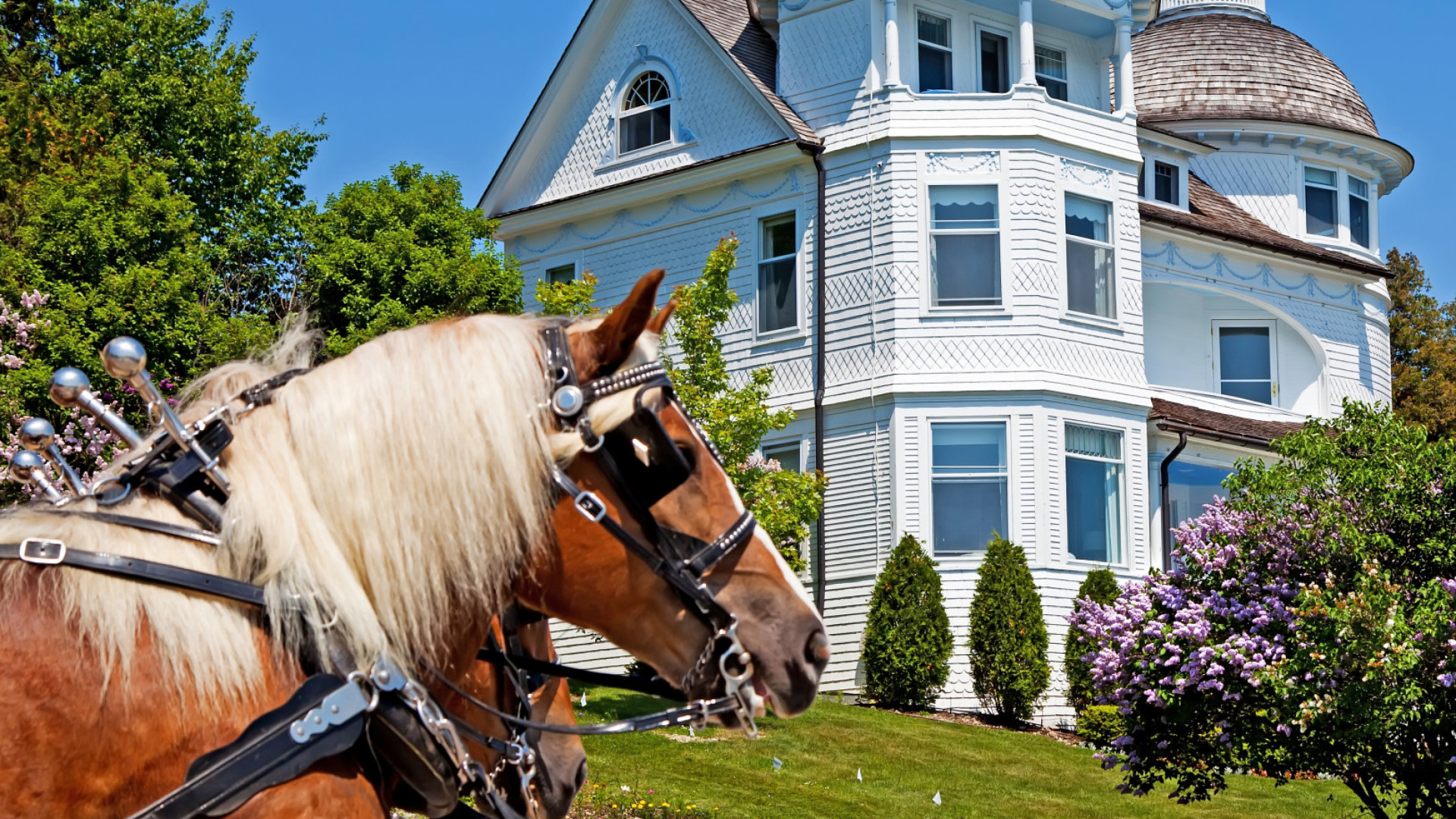 Exploring America's car-free Mackinac Island, where the horse is king