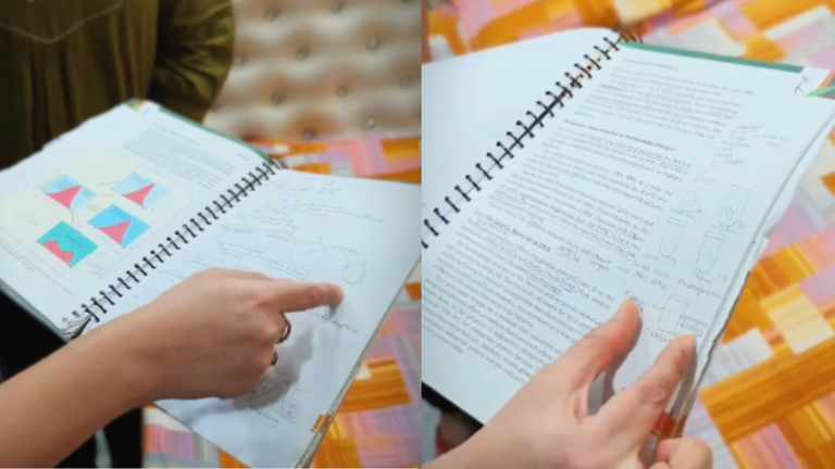 How CBSE topper prepared her notes to score 99.6%: Takeaway for parents ...