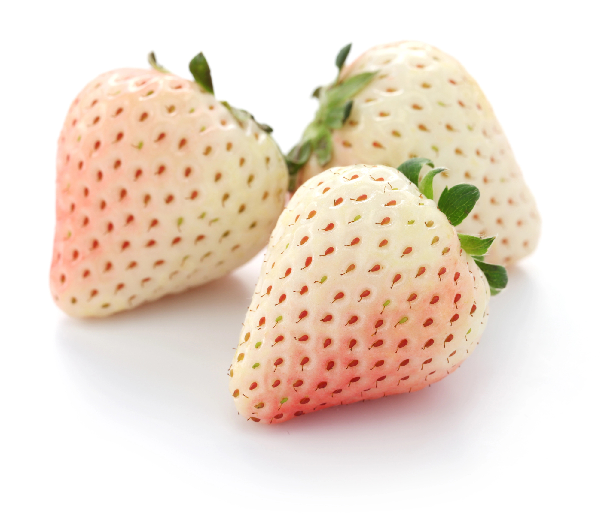 15 rare foods once eaten by royalty