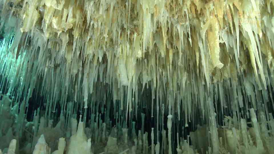 We crawled through the entrance then saw what was hanging above us