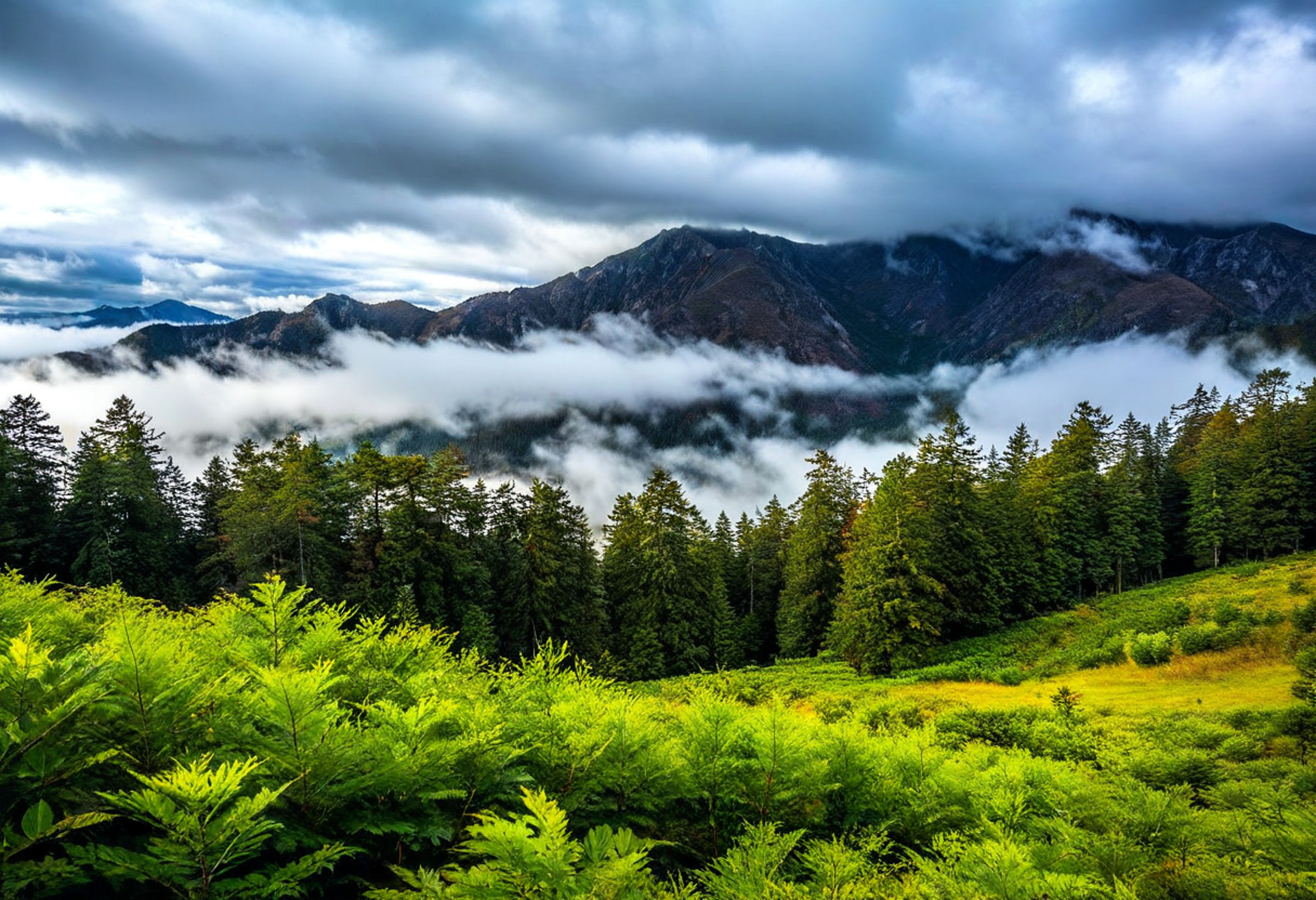 14 cozy getaways in the Smoky Mountains