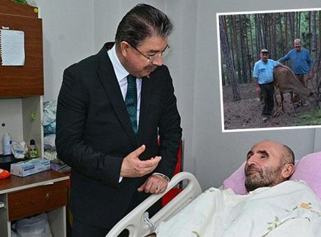 Bir geyik hayatını kararttı! 38 yıllık çoban 2.5 yıldır yatağa bağımlı ...