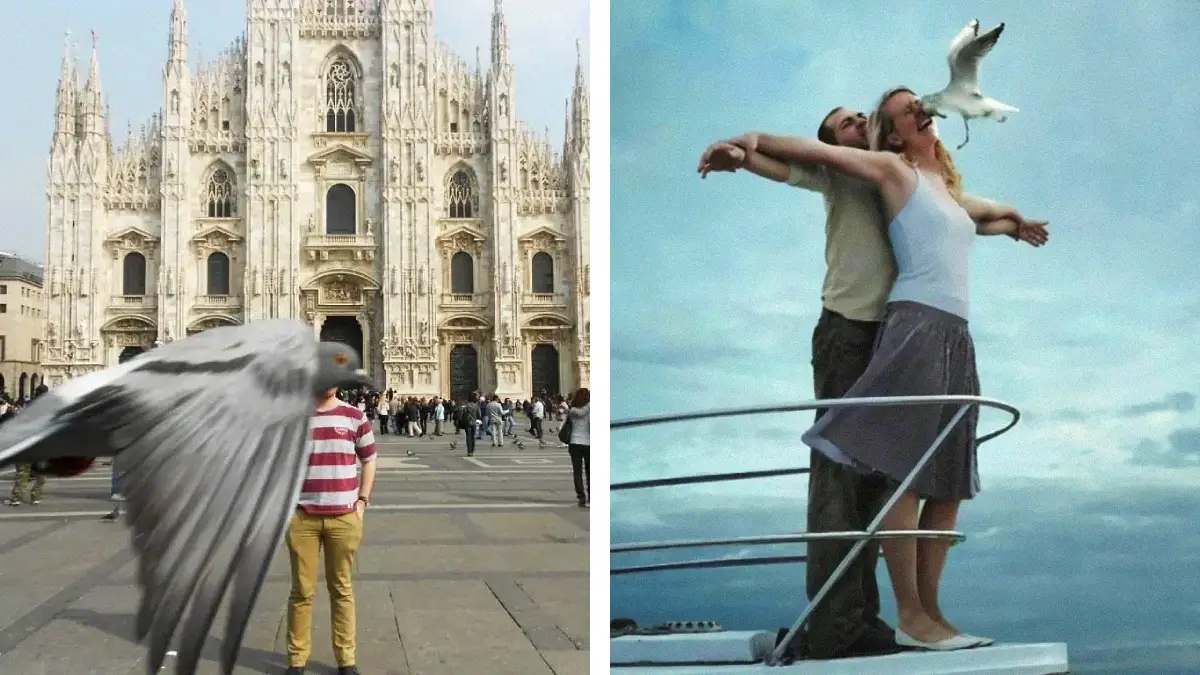 18 animals that have mastered the art of stealing the spotlight from ...