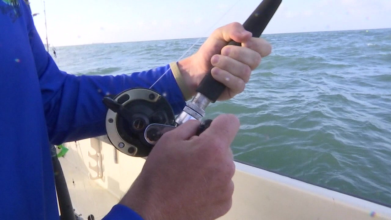 FWC brings back online sales for non-resident, short-term fishing ...