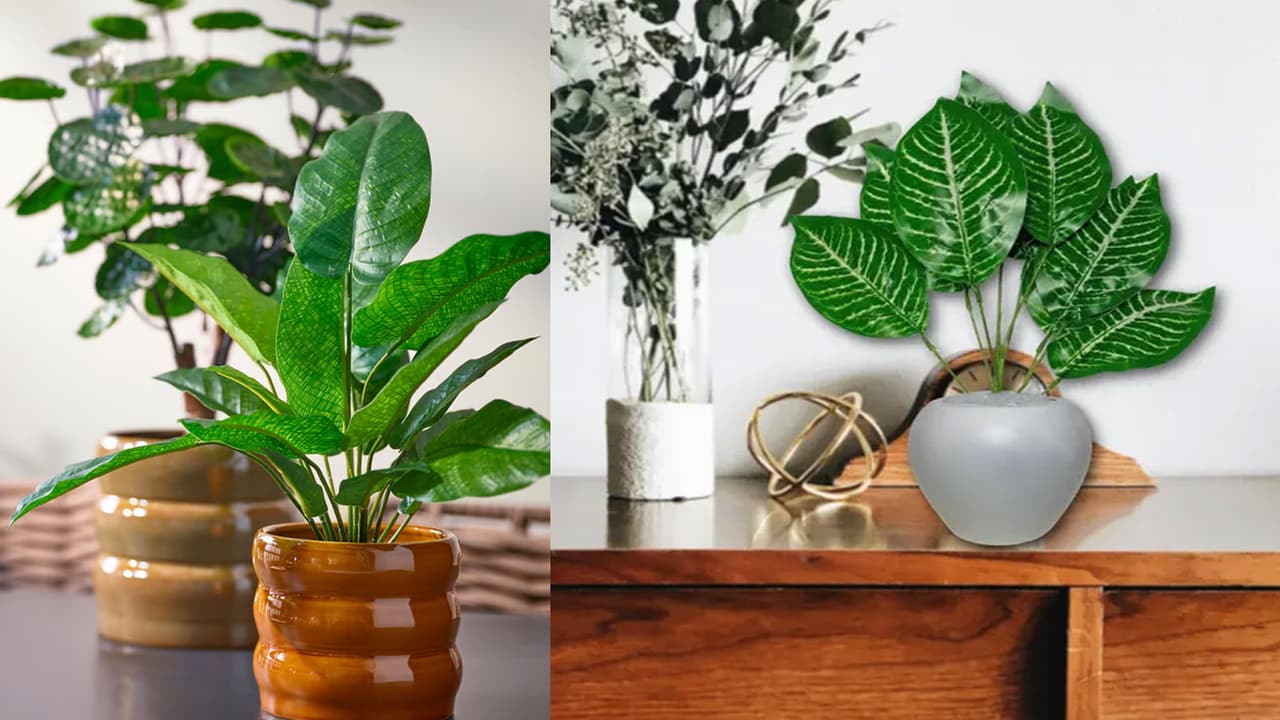 Artificial plants: 5 decorative greens for a fresh, effortless home ...