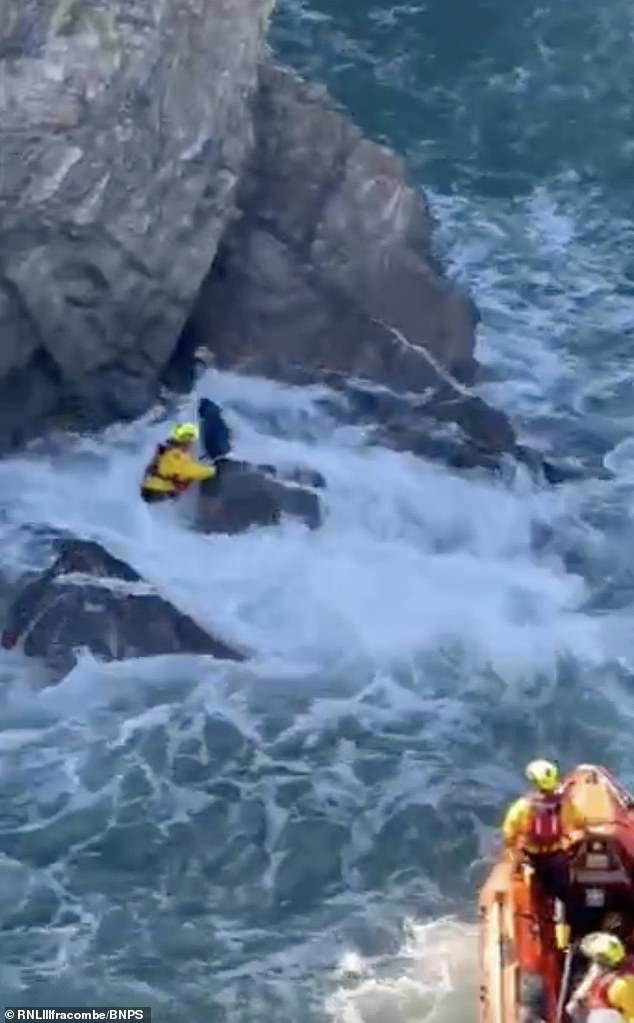 Moment stranded pet Labrador is rescued after plunging 60ft off a cliff ...