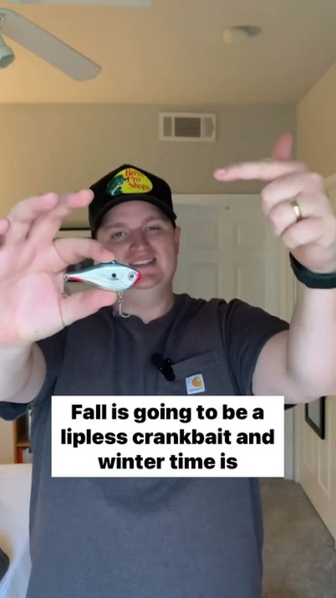 My favorite bass fishing lures for every season