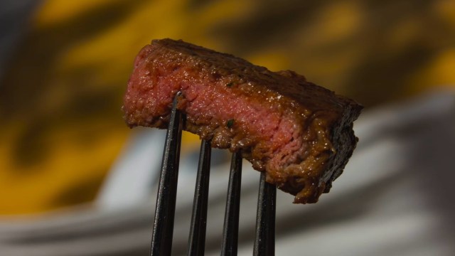 Cultivated meat crisis deepens as startup files for bankruptcy