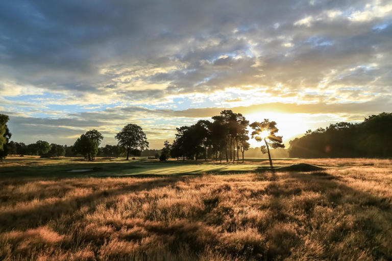 Tom Osborne targeting big final year of amateur golf as he leads ...