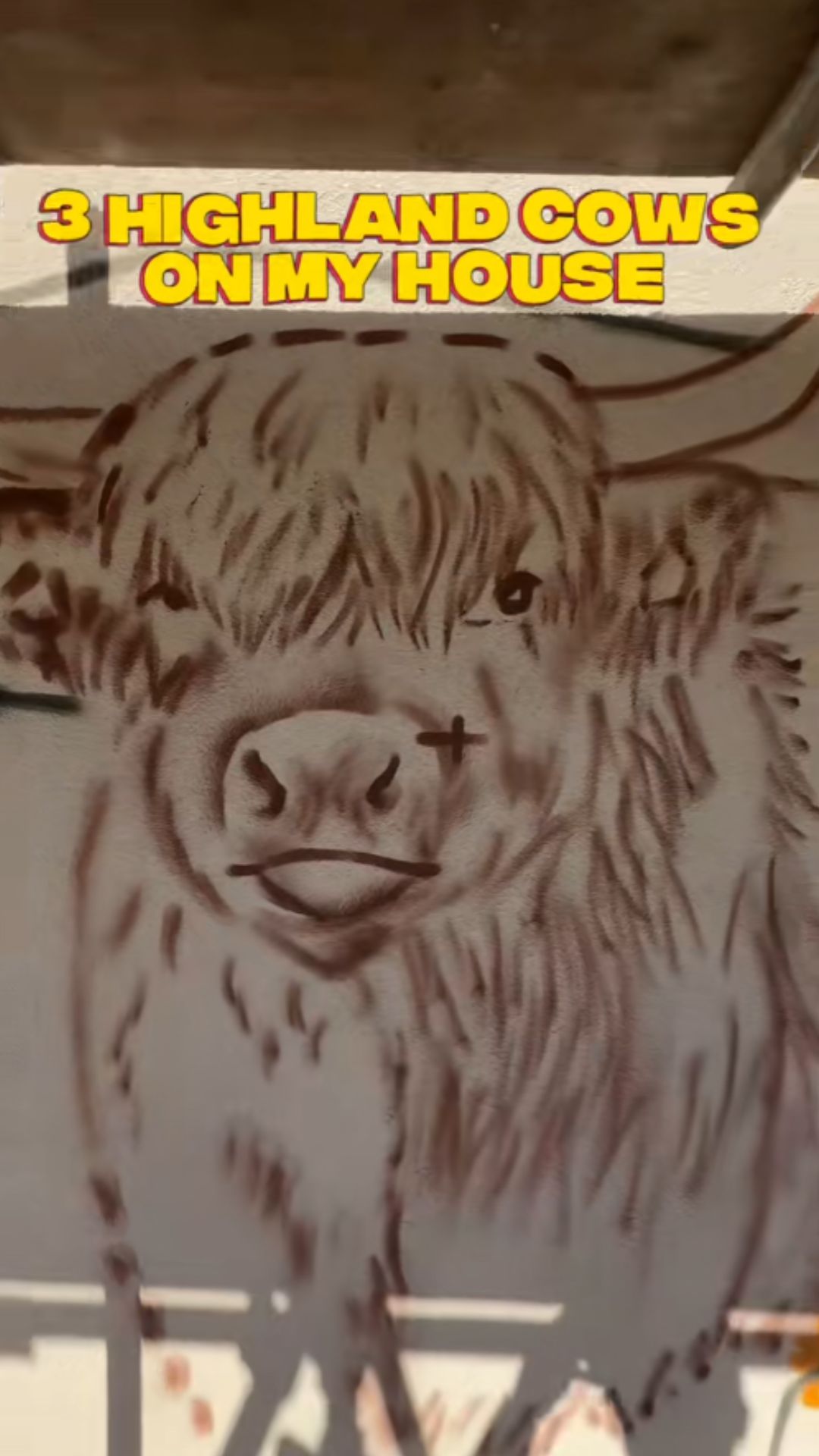 The cozy charm behind highland cow paintings