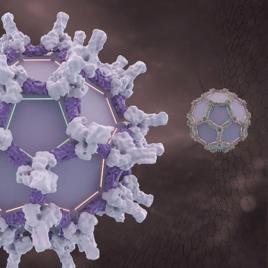 Lab of UW Nobel winner cracks challenge of creating roomier protein ...