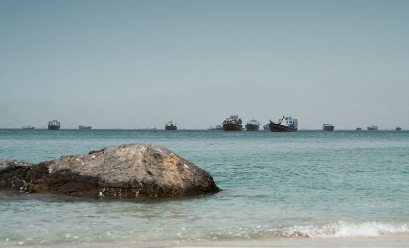 Hormuz closure could trigger 'agrifood shock', price crisis within a ...