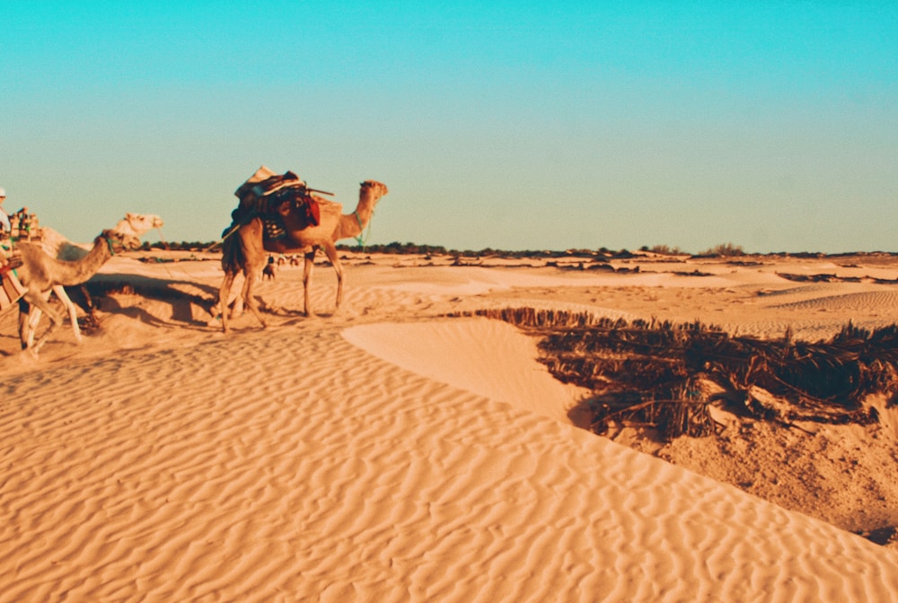 10 Star Wars filming sites to visit