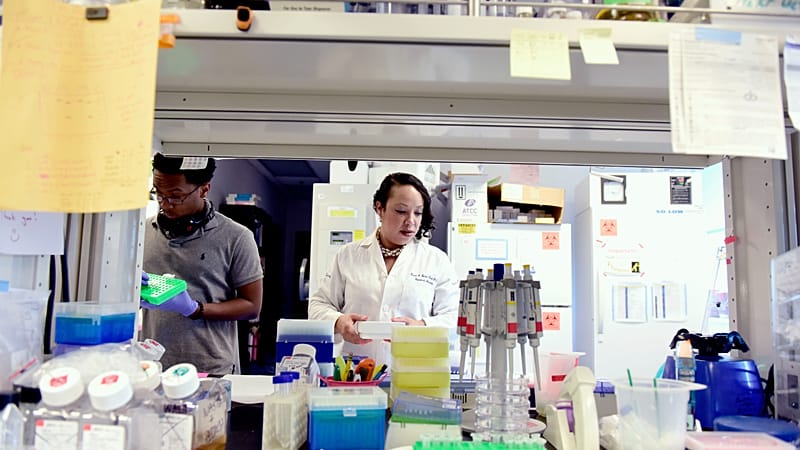 Cancer, oncogenic viruses found in wastewater: 'Possible breakthrough ...
