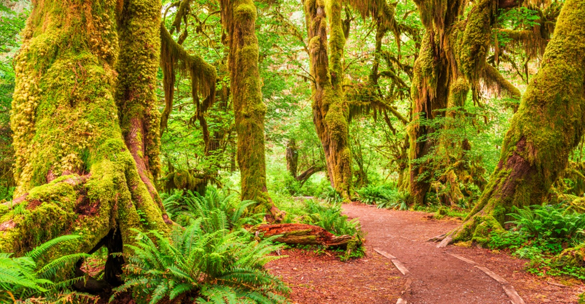 14 best US hiking trips for families who want big views without long trails