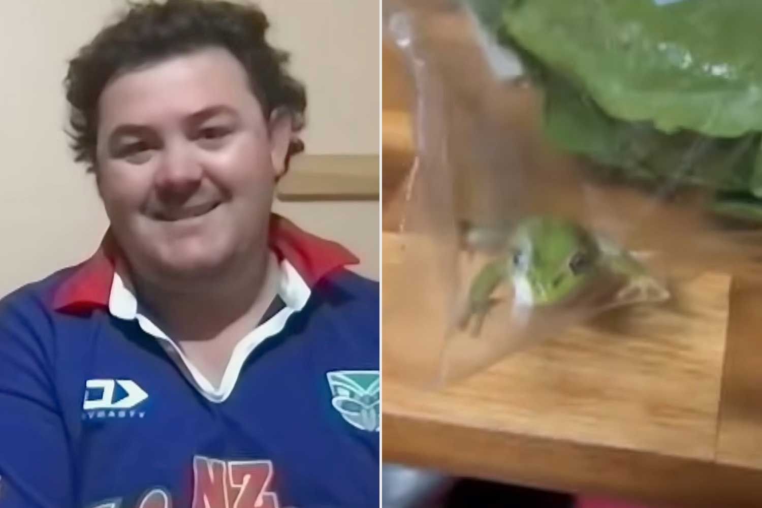 Man finds live frog in lettuce after buying groceries for steak and ...