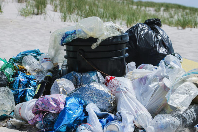 Food and drink plastics dominate marine litter across 112 nations ...