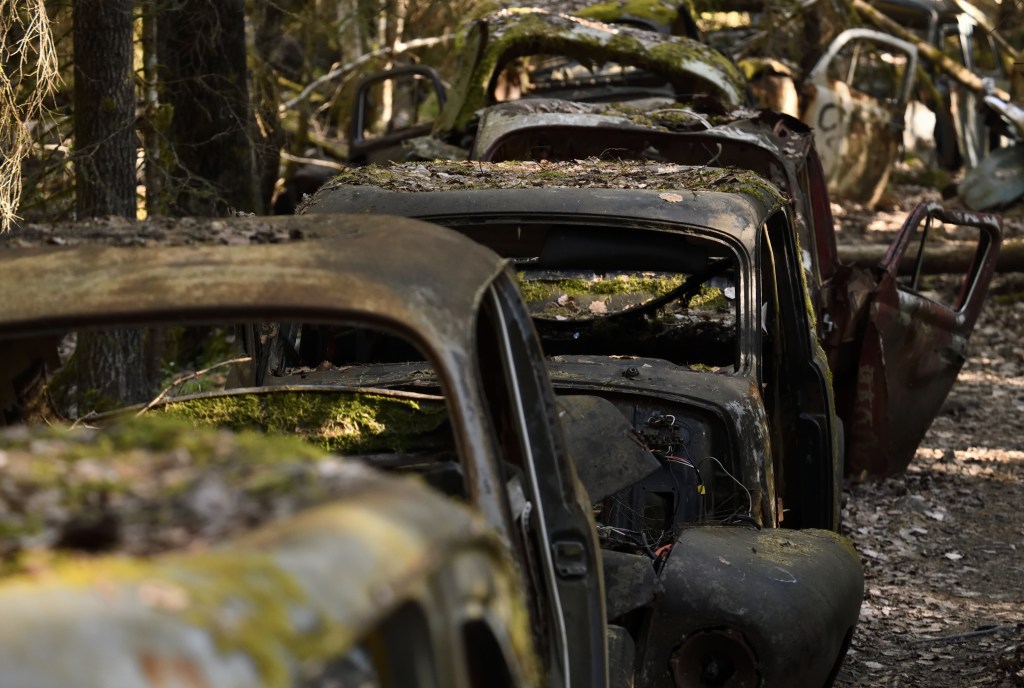 The eerie Swedish forest where hundreds of classic cars have been left ...