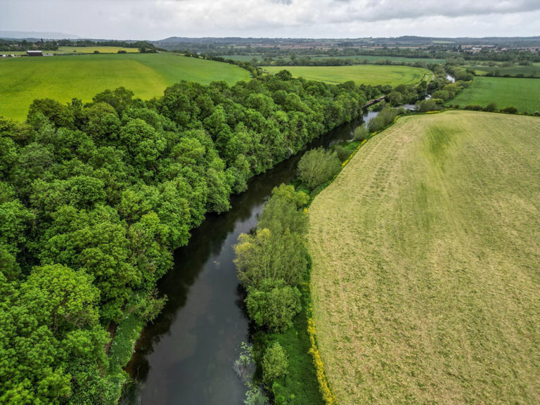 Nissan Juke found submerged in River Avon leaves locals confused